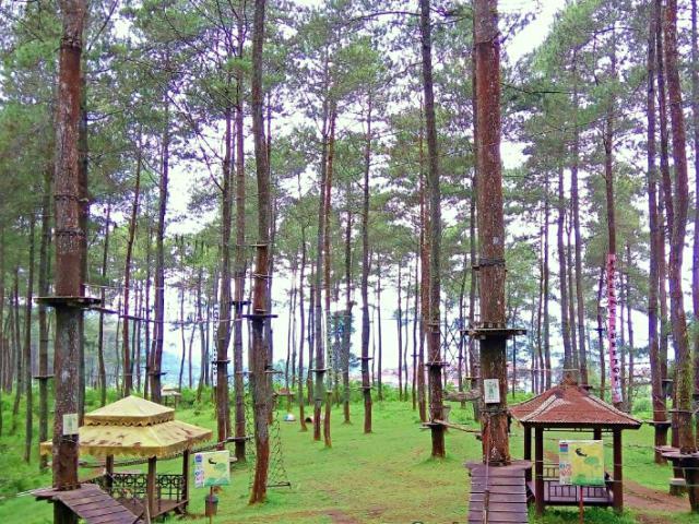 Bandung Tree Top Tiket & Rekomendasi Aktivitas - IdeTrips