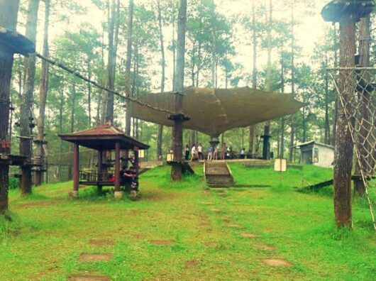 Bandung Tree Top Tiket & Rekomendasi Aktivitas - IdeTrips