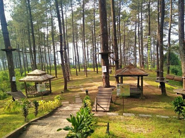 Bandung Tree Top Tiket & Rekomendasi Aktivitas - IdeTrips