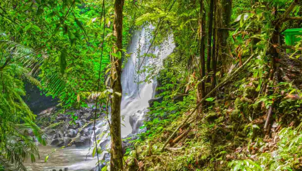 Pengempu Waterfall Guide & Activities - IdeTrips