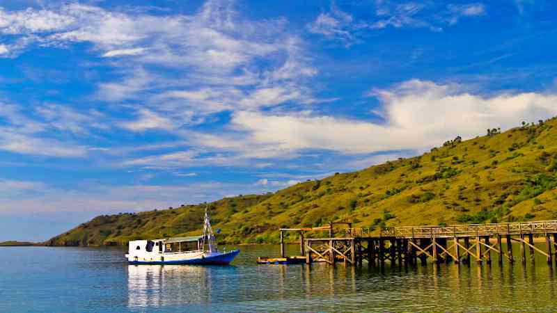 Rinca Island, Komodo Sightseeing & Activities - IdeTrips