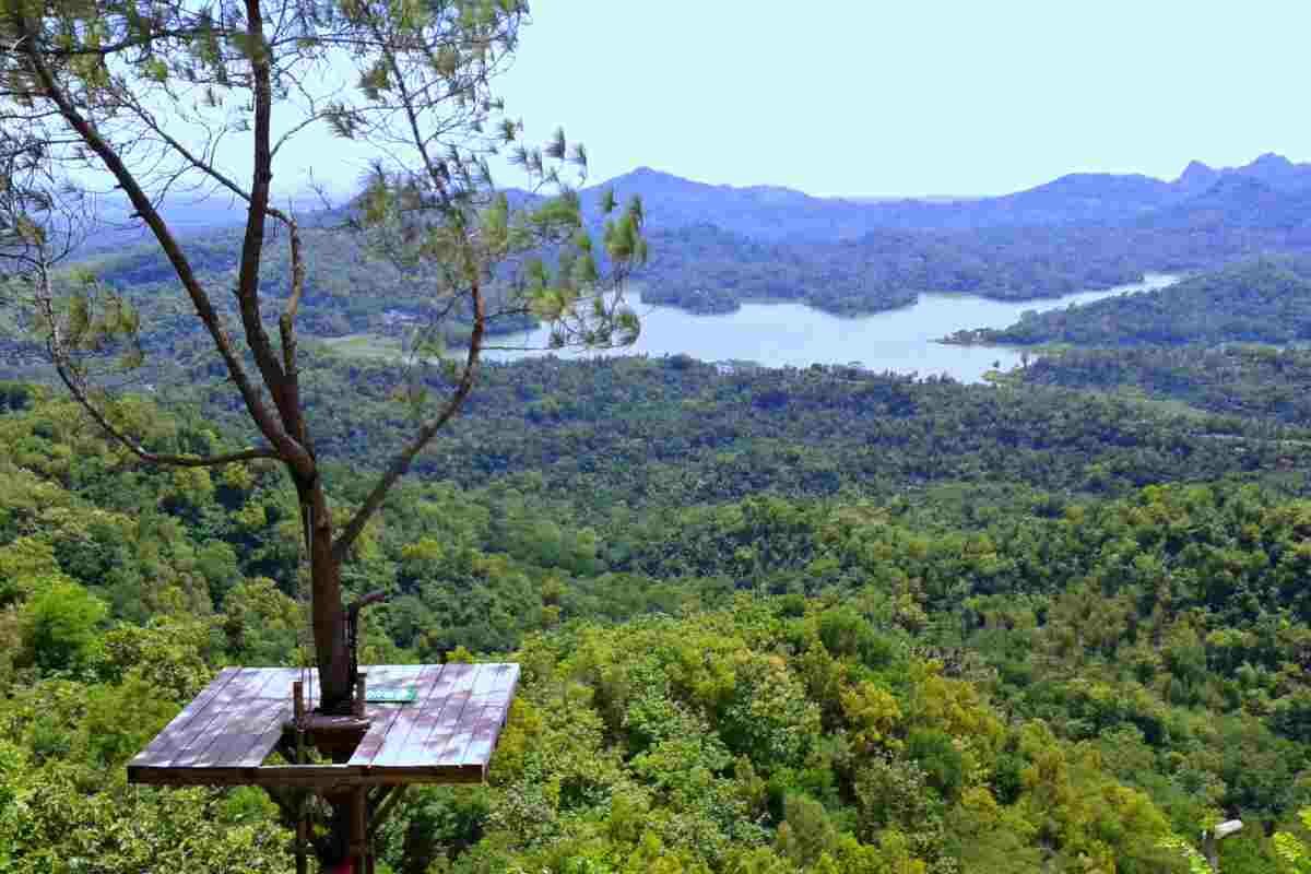 Kalibiru National Park, Activities & Entrance Fee - IdeTrips