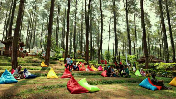 Orchid Forest Cikole, Top Things To Do and Entrance Ticket - IdeTrips