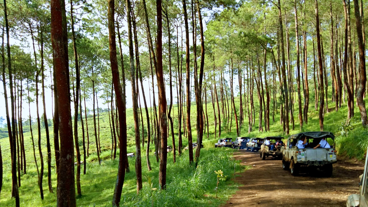 Grafika Cikole Bandung Guide & Top Things To Do - IdeTrips