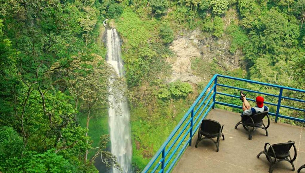 Orchid Forest Cikole, Activities & Entrance Ticket – IdeTrips