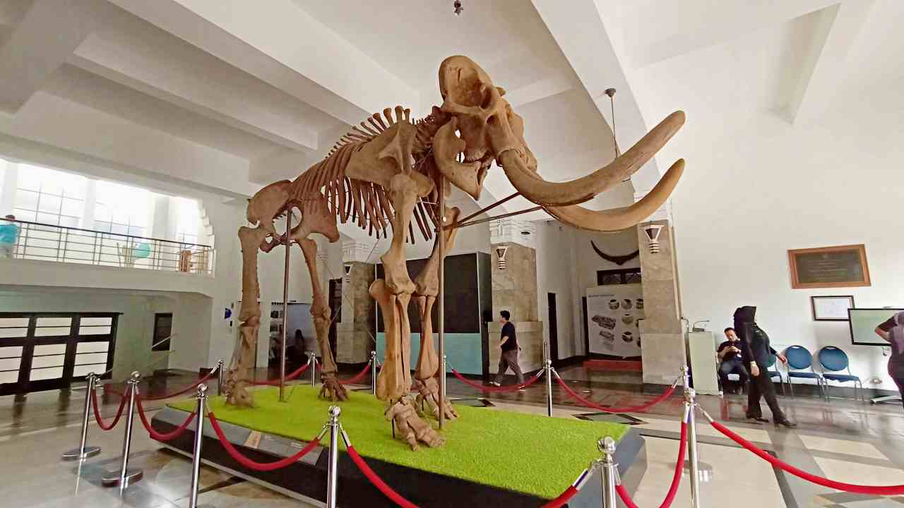 Geology Museum Bandung Collections & Entrance Fee - IdeTrips