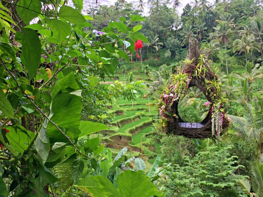 Tegalalang Rice Terrace Activities & Entrance Fee - IdeTrips