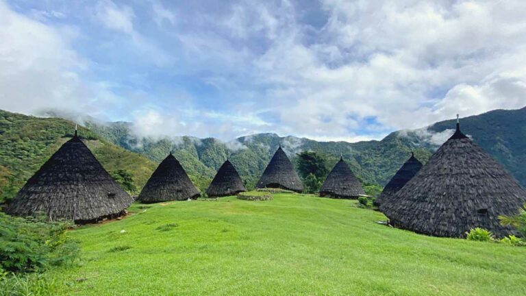 Wae Rebo Village Guide, Track & Entrance Fee