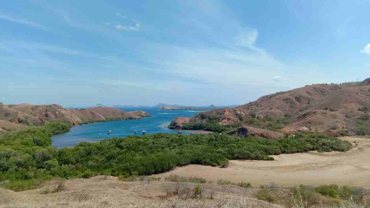 Rinca Island, Komodo Dragon Park & Entrance Fee