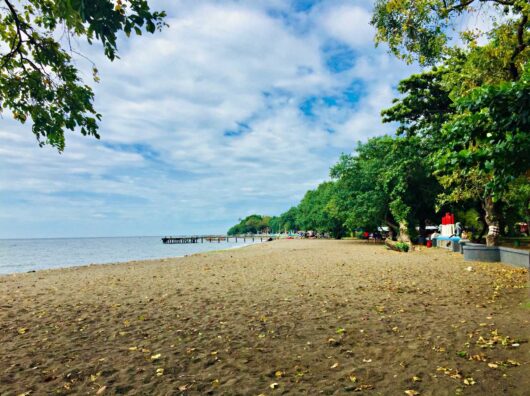 Kelingking Beach Top Spots & Entrance Ticket - IdeTrips