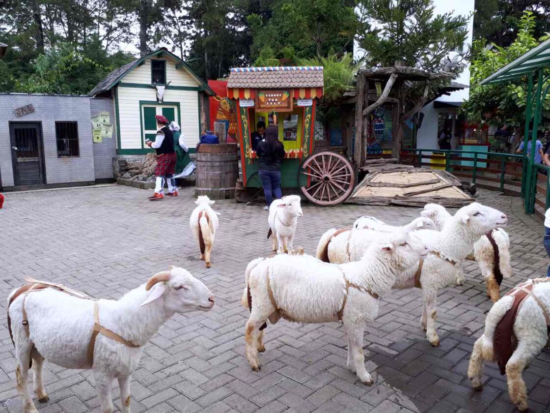 Farmhouse Bandung Lembang Guide & Activities - IdeTrips