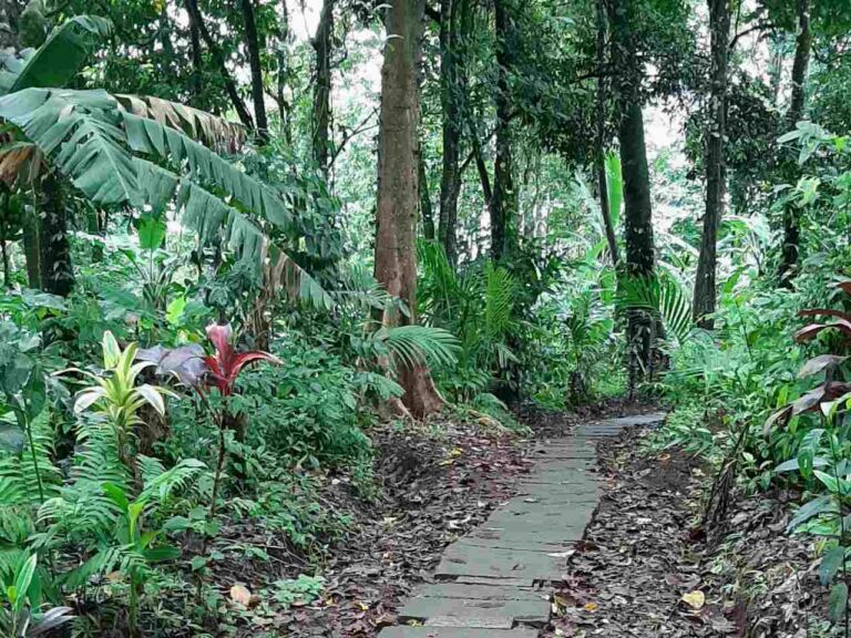 Banyu Wana Amertha Waterfall Guide