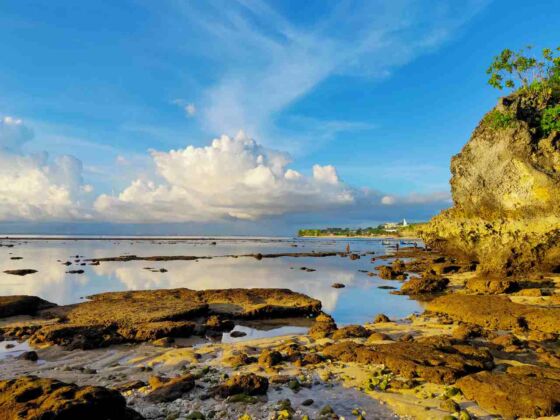 Bingin Beach Guide & Top Things To Do