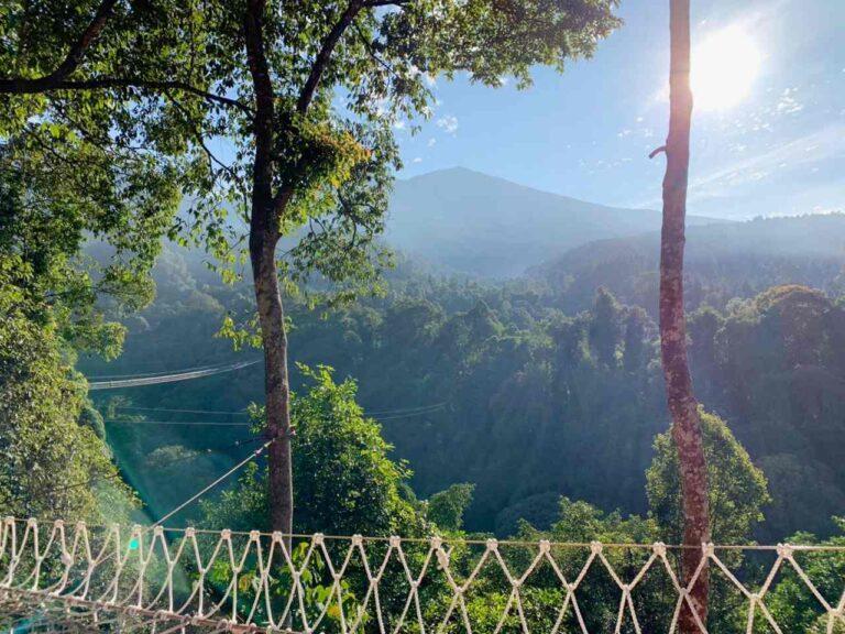 Situ Gunung Suspension Bridge Guide & Activities