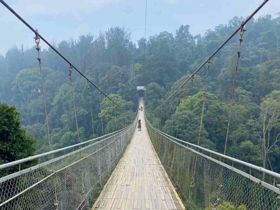 Situ Gunung Suspension Bridge Guide & Activities