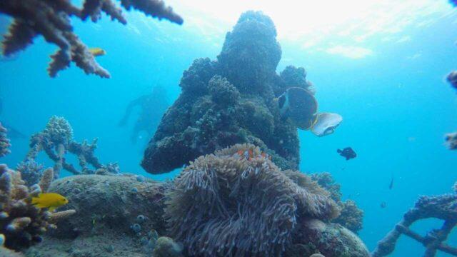 Pemuteran Beach Guide & Top Things To Do - IdeTrips