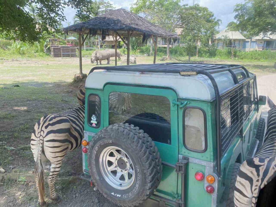 Bali Safari Marine Park Entrance Fee & Attraction