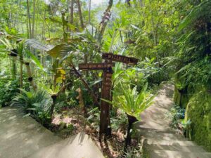 Goa Rang Reng Waterfall, Bali & Top Things To Do - IdeTrips