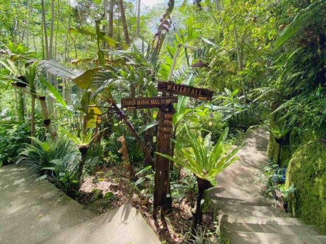 Goa Rang Reng Waterfall, Bali & Top Things To Do - IdeTrips