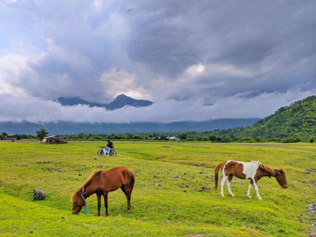 Savana Tianyar, Guide and Attraction - IdeTrips