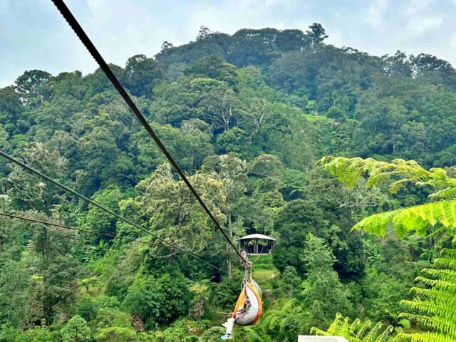 Rengganis Suspension Bridge Guide, Entrance Fee and Attractions - IdeTrips